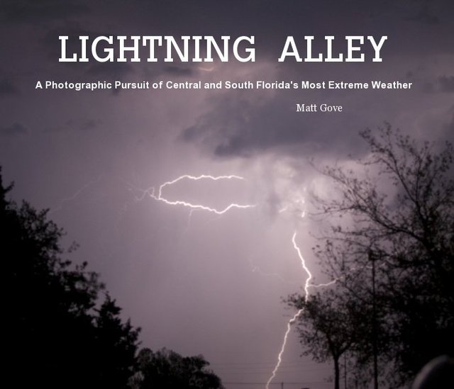 Lightning Alley Ebook by Matt Gove | Blurb Books UK