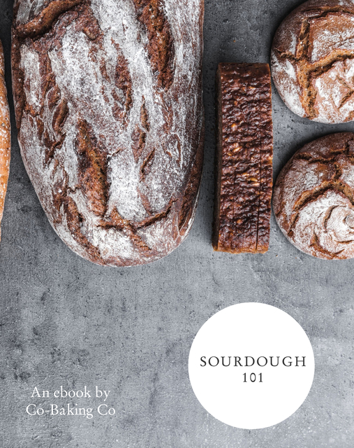 Co-Baking Co: Sourdough 101 Ebook by Co-Baking Co | Blurb Books UK