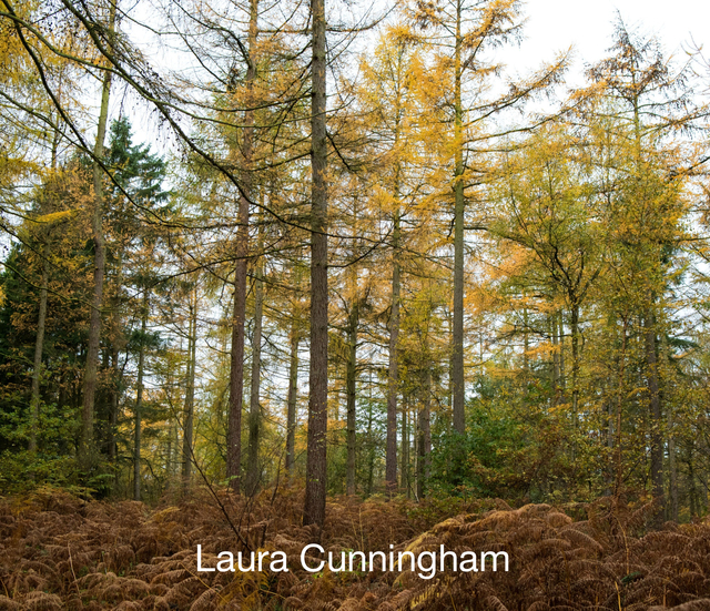 Laura Cunningham Ebook by Laura Cunningham | Blurb Books Australia