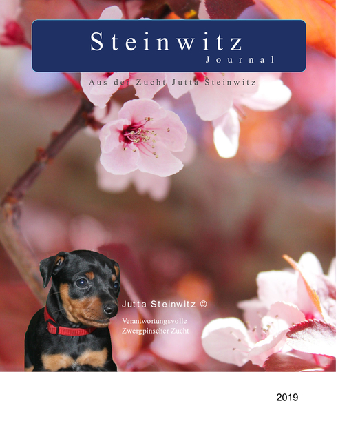 Steinwitz Journal Ebook by Jutta Steinwitz, Dr. Alfred Preisner | Blurb ...