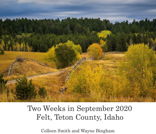 Two Weeks in September 2020 Ebook by Colleen Smith & Wayne Bingham ...